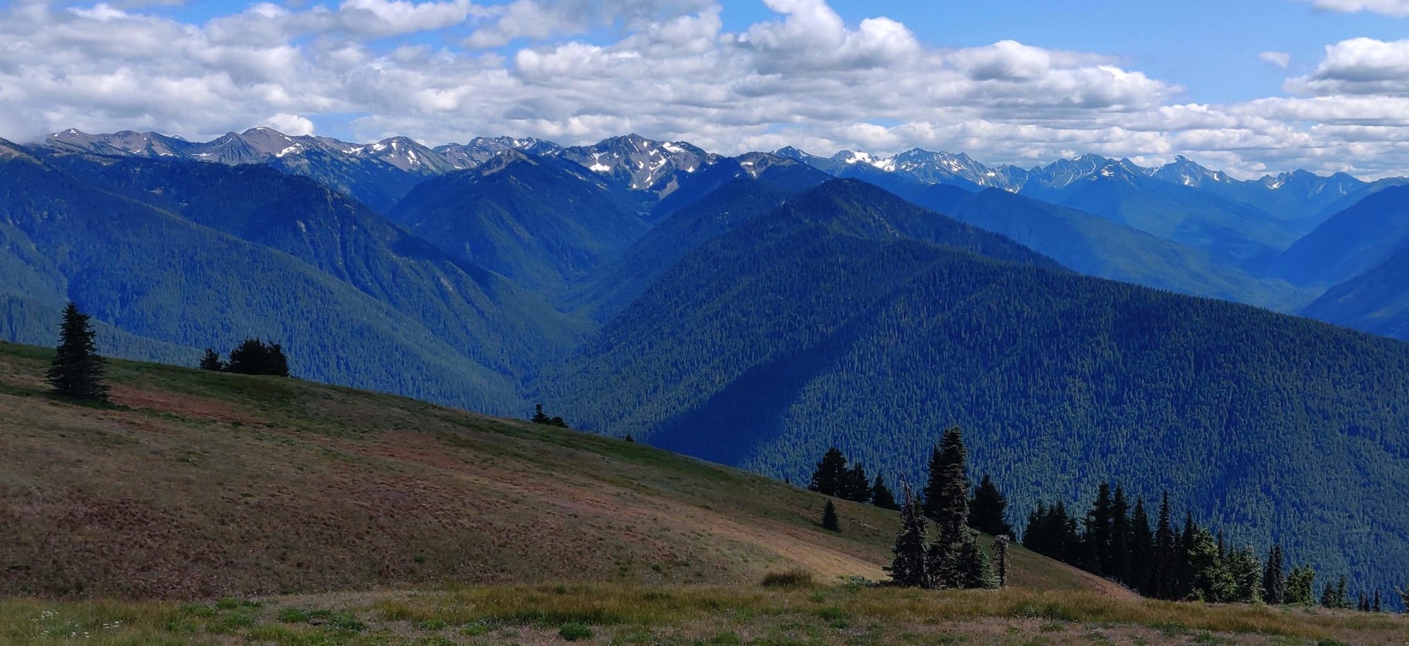 3 Days in Olympic National Park (ONP) - trailstraveled.com